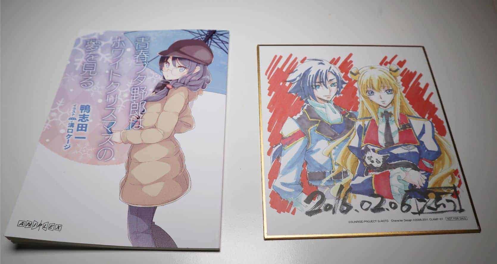 How To Watch Anime Movies in Japanese Theater